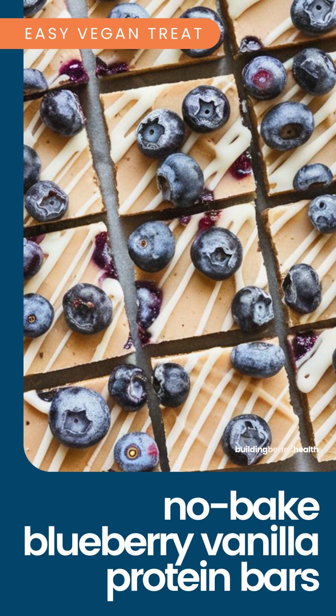 Vegan No-Bake Blueberry Vanilla Protein Bars - Berry Delicious!